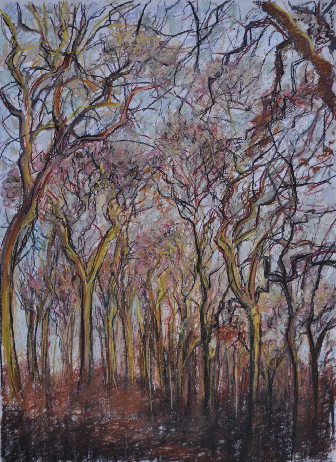 The Paintings of Elizabeth Talbot - Dennis Kilgallon Gallery